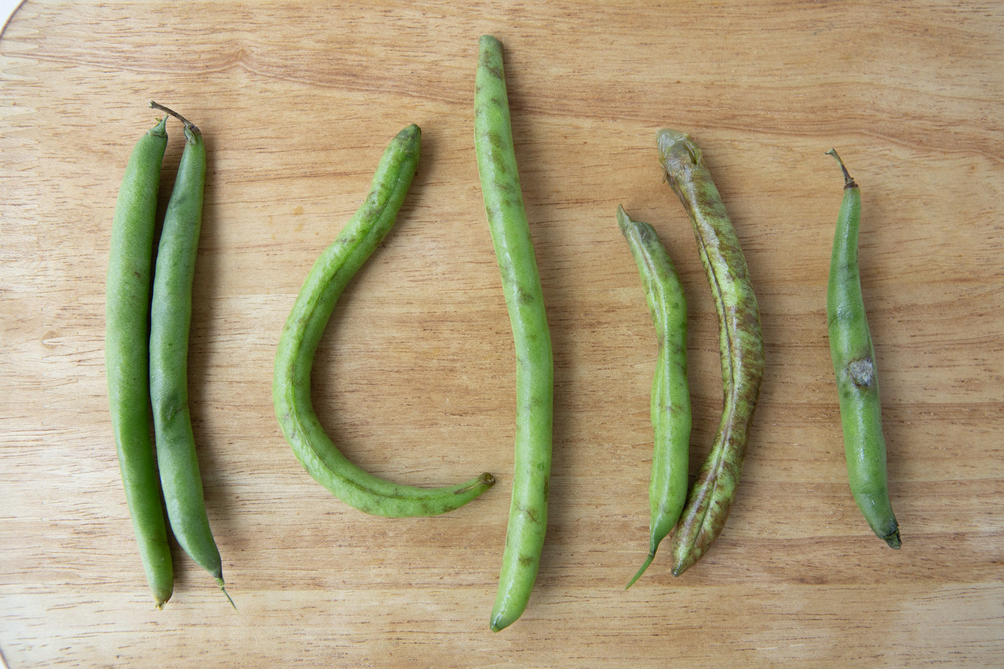 how to tell if green beans are bad or moldy - Make Healthy Easy - Jenna ...